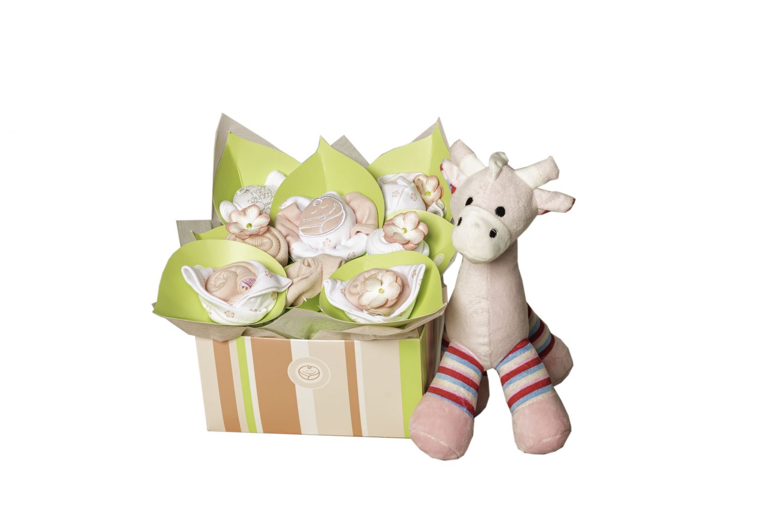 Babybuds Newborn Baby Gifts New Zealand | Same Day Delivery Auckland